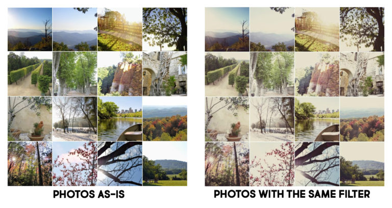 How To Create a Cohesive Gallery Wall From Photos - Cate Holcombe Interiors